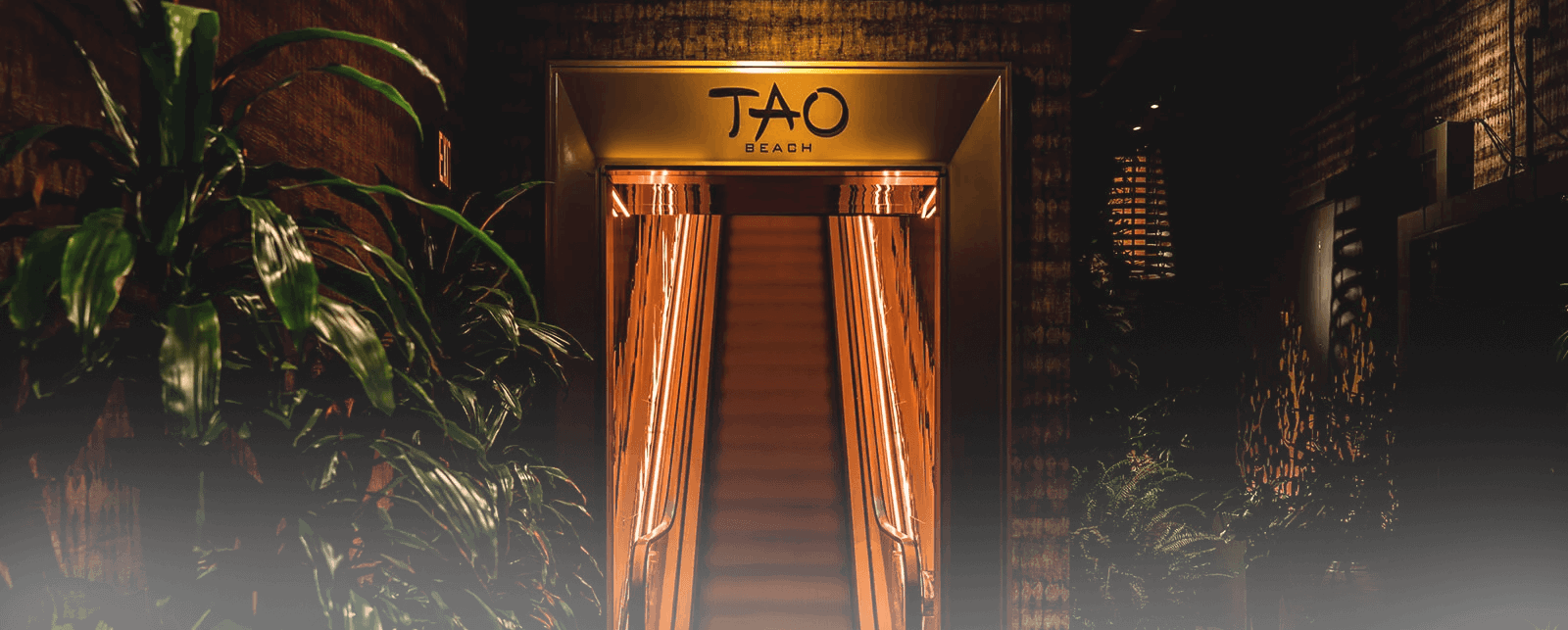 Cedric Gervais Birthday | Vegas Pool Party Friday | TAO Beach - VIP ...